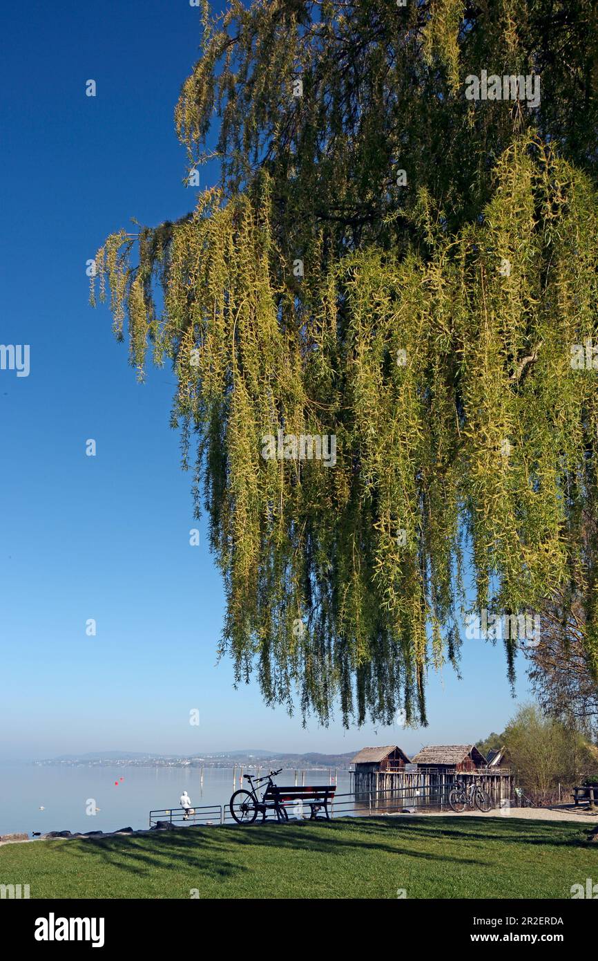 Pile dwellings, Unteruhldingen, Lake Constance, Baden-Württemberg ...