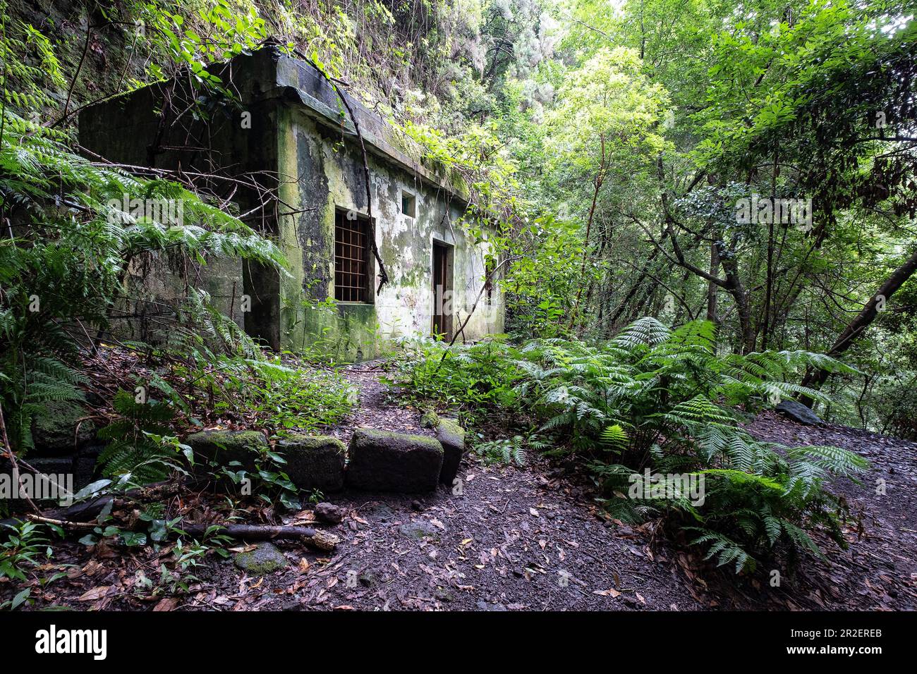 View of an old generator house on a hiking trail in the laurel forest ...