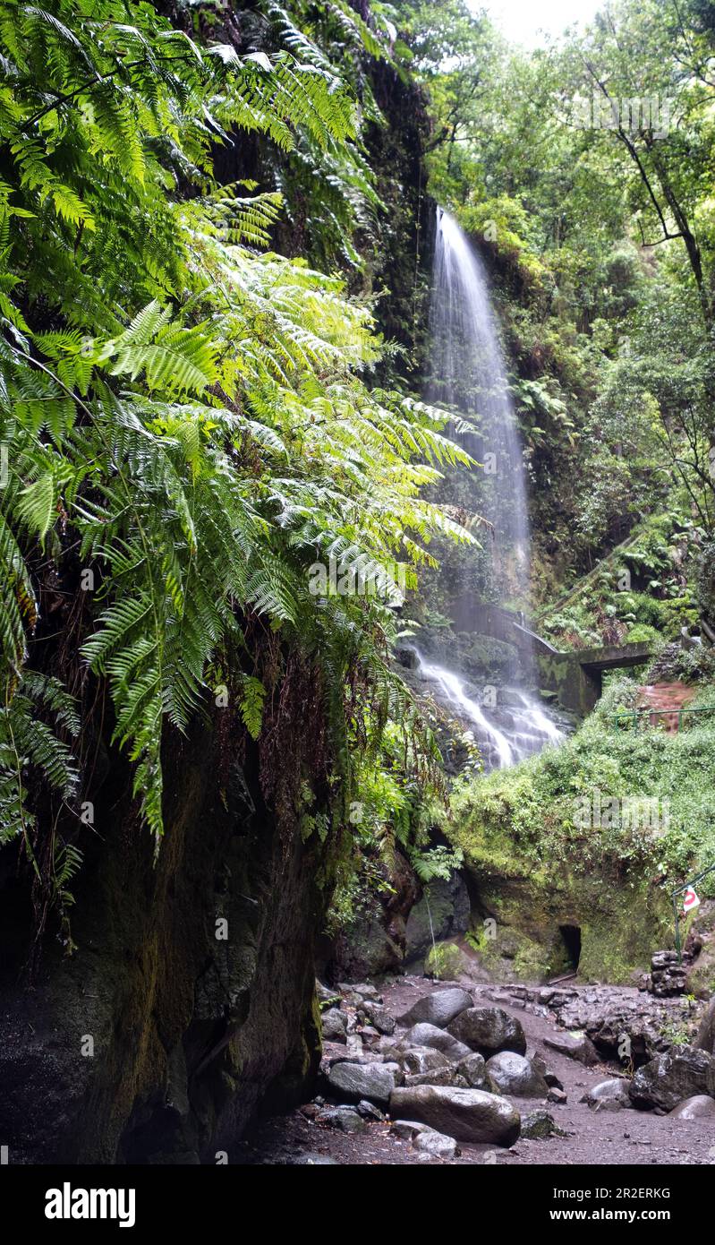 View of the Cascada de los Tilos, waterfall in the gorge from the ...