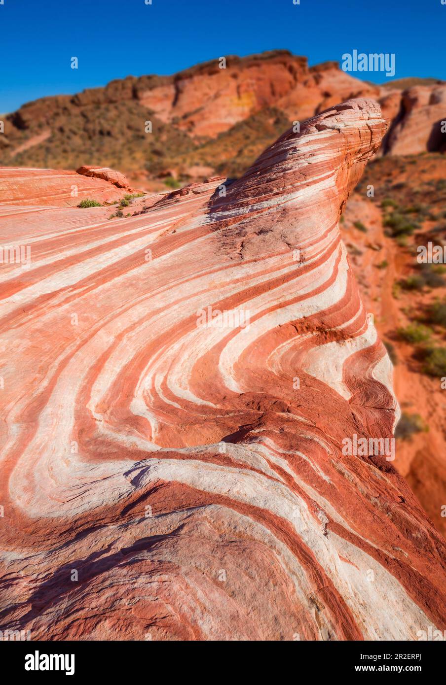 Colored layers of rock on the Little Wave in the Valley of Fire, USA ...