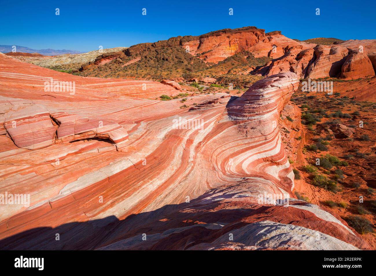 Colored layers of rock on the Little Wave in the Valley of Fire, USA ...