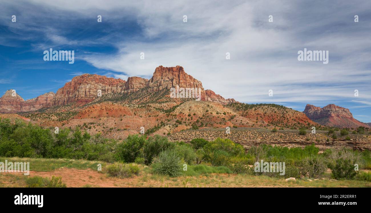Park green vegetation hi-res stock photography and images - Alamy