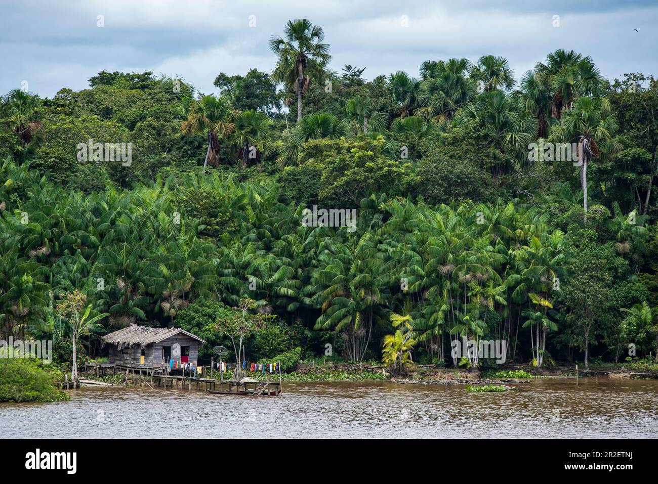 A riverfront wooden house with palm-frond roof and drying laundry is ...