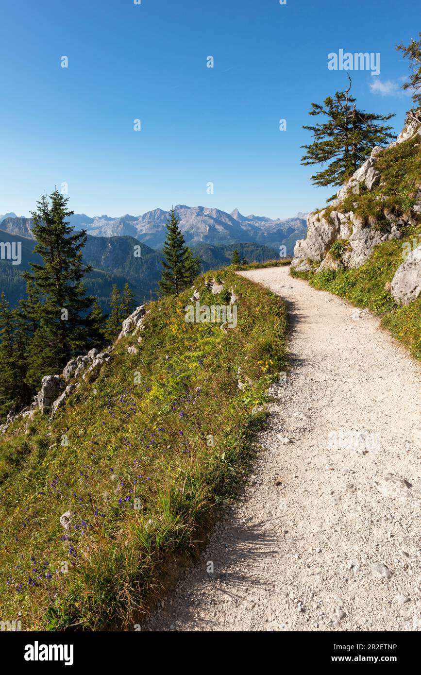 Path on Jenner, Berchtesgaden National Park, Berchtesgadener Land ...