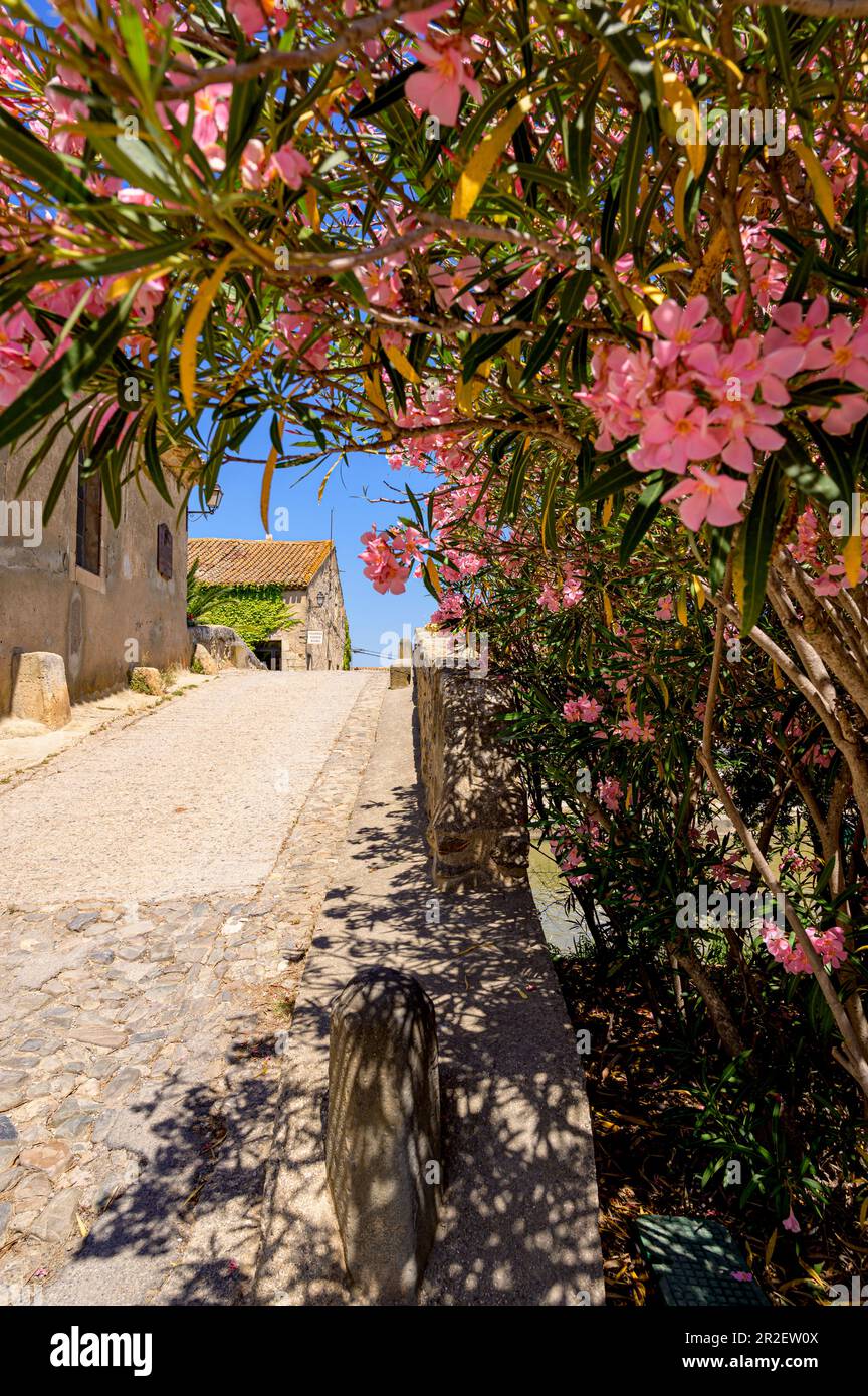 Le Somail on the Canal du Midi, Occitania, France Stock Photo - Alamy