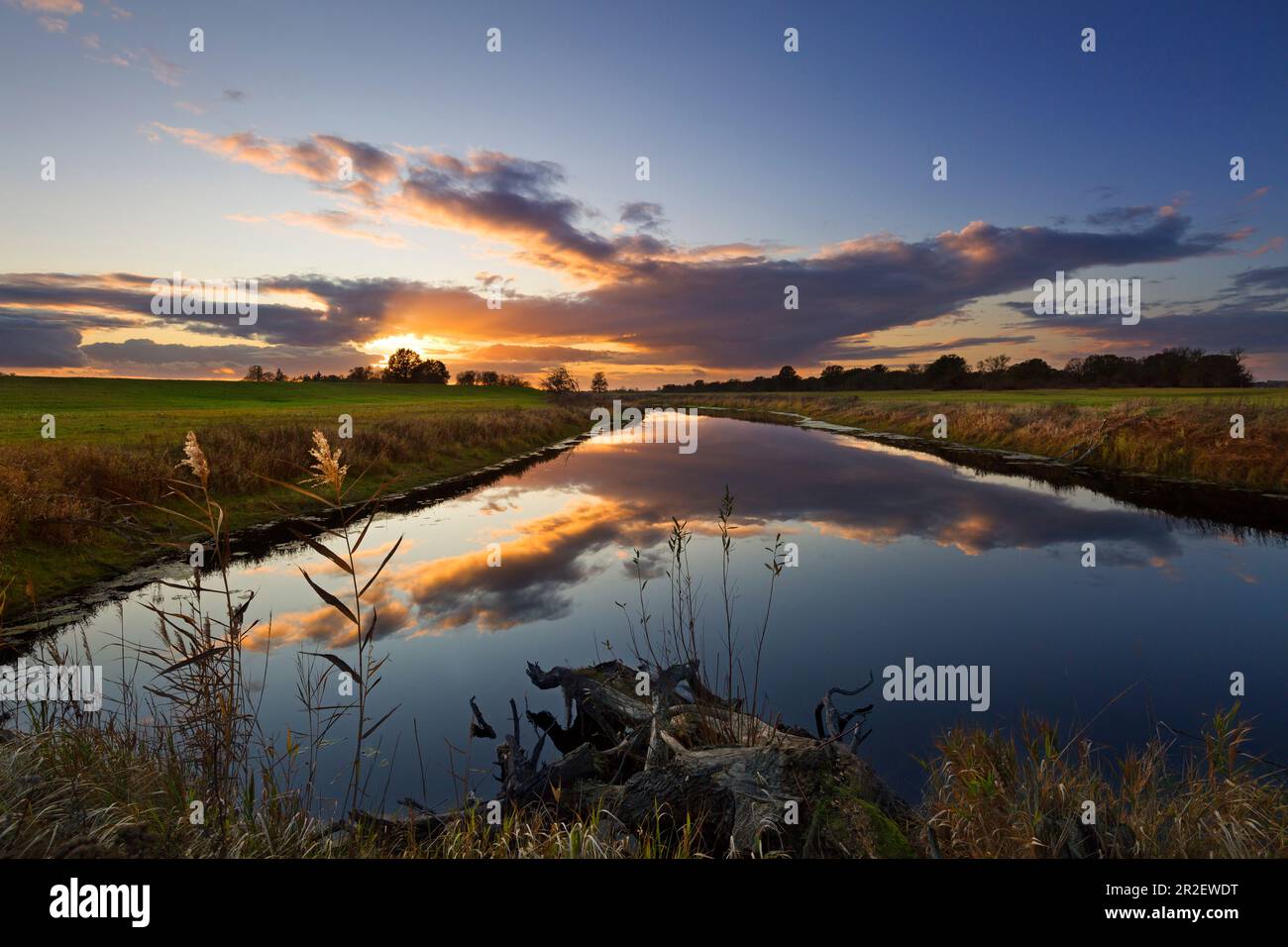 Altarm der Oder, Oderbruch, Brandenburg, Germany Stock Photo - Alamy