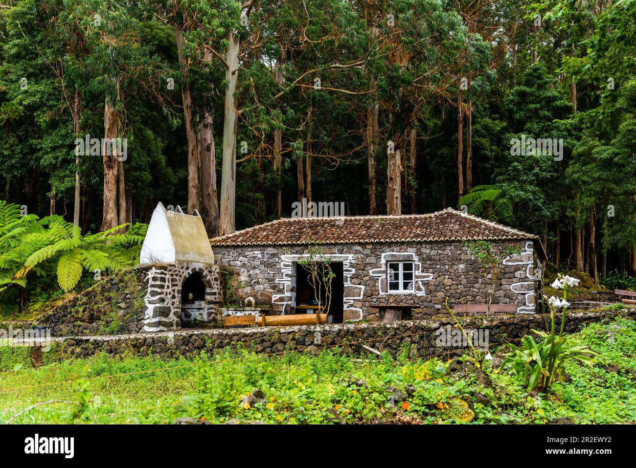 Traditional stone cottage in Recreation area in the Mata da Serreta ...