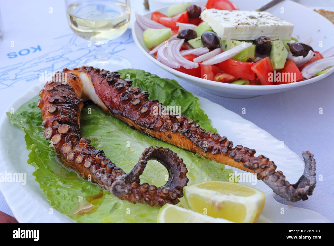 Octopodi hi-res stock photography and images - Alamy