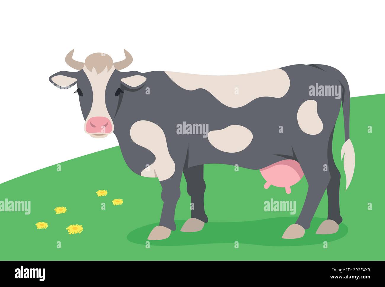 Horned black and white cow standing on the green grass. Domestic farm ...