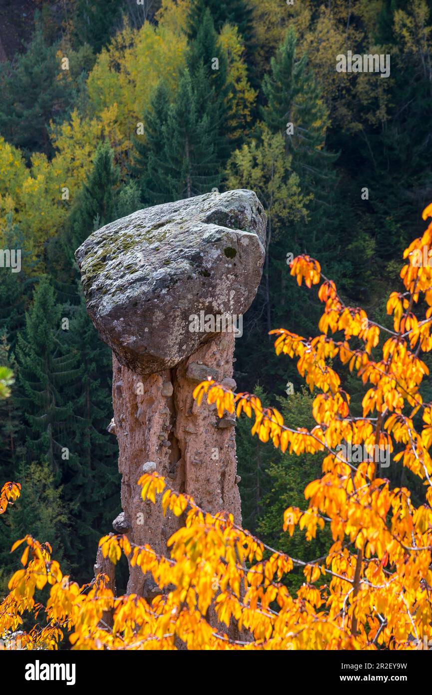 The earth pyramids on the Renon, natural monument, South Tyrol, Italy ...
