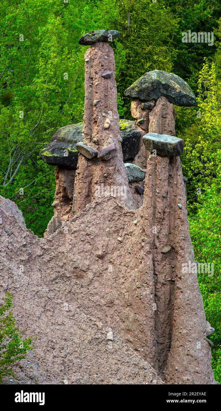 The earth pyramids on the Renon, natural monument, South Tyrol, Italy ...