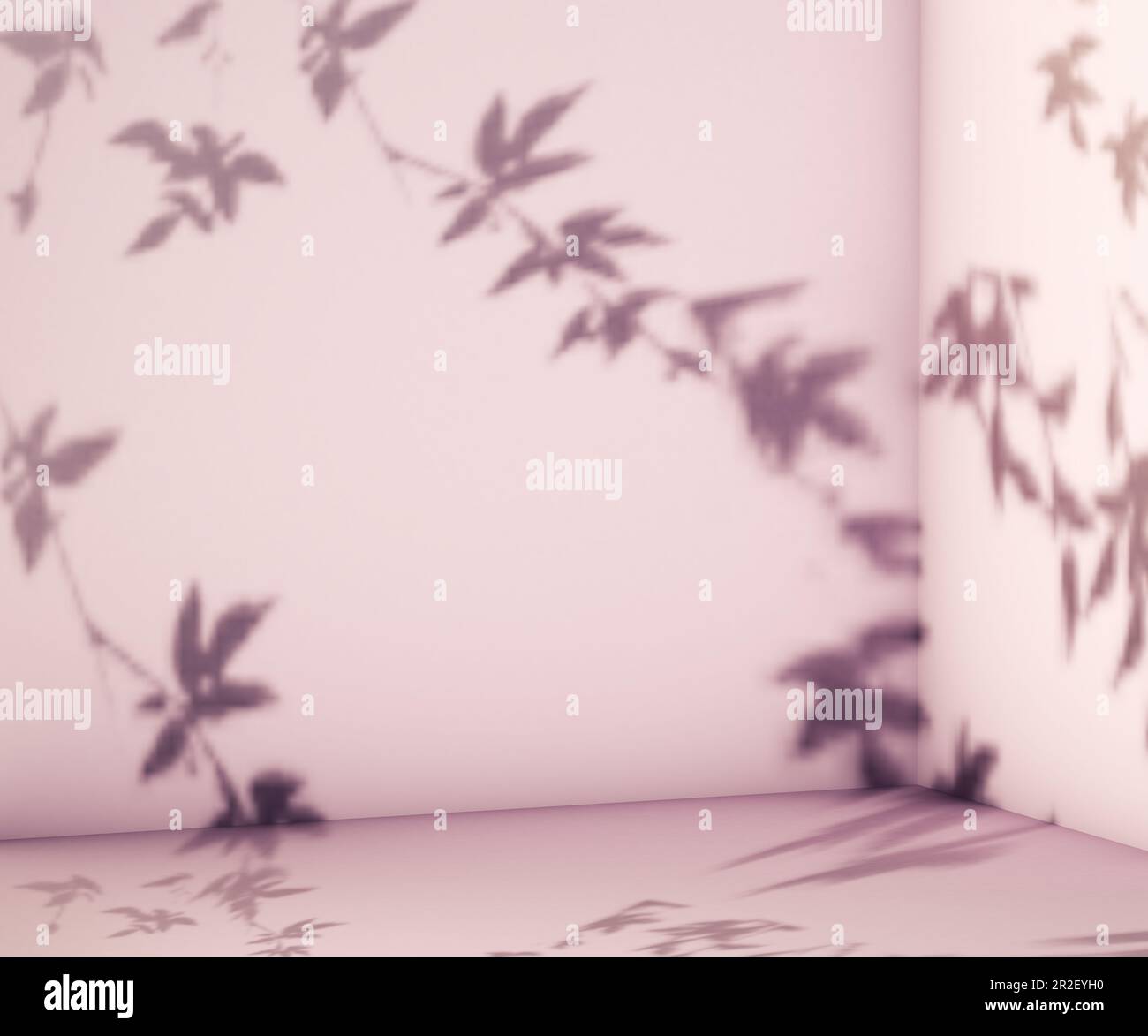 Minimalistic background of shadows of tree branches and garden plants ...