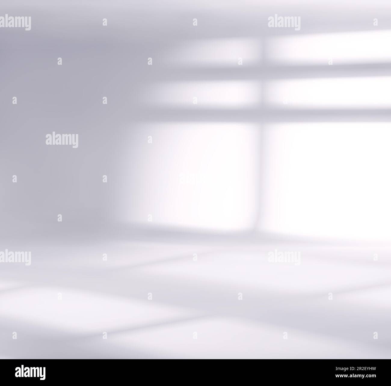 Minimalistic background of shadows of tree branches and garden plants ...