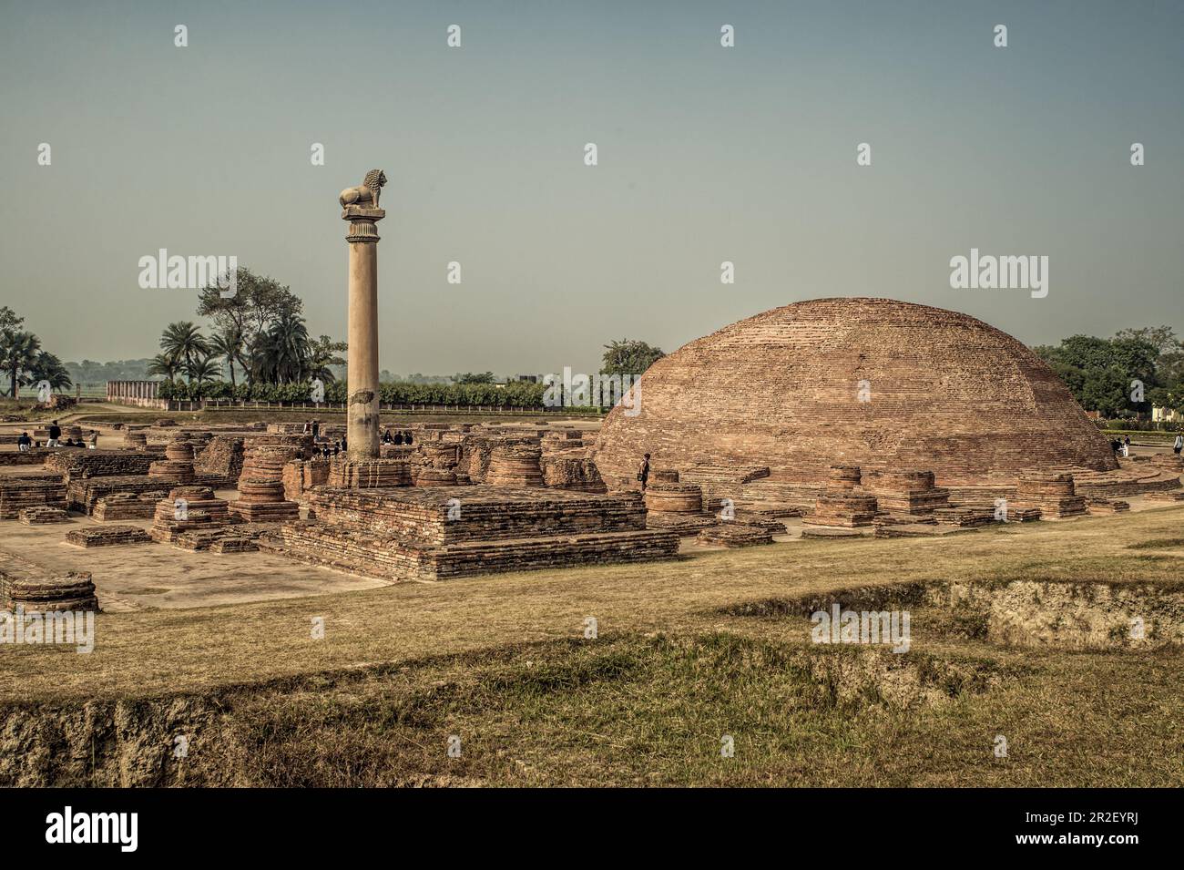 Pillar ashoka vaishali hi-res stock photography and images - Alamy
