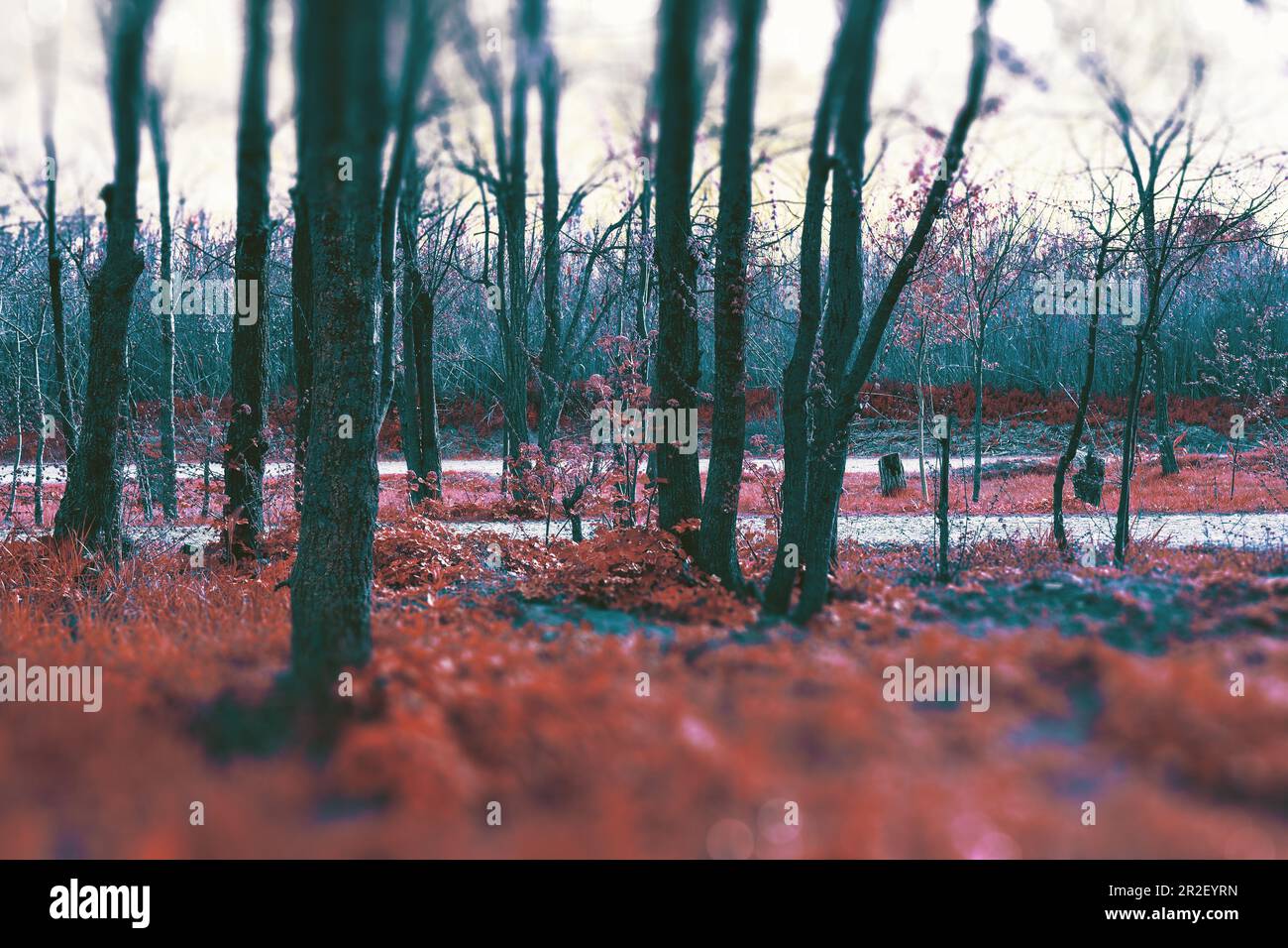 Dust fog hi-res stock photography and images - Alamy