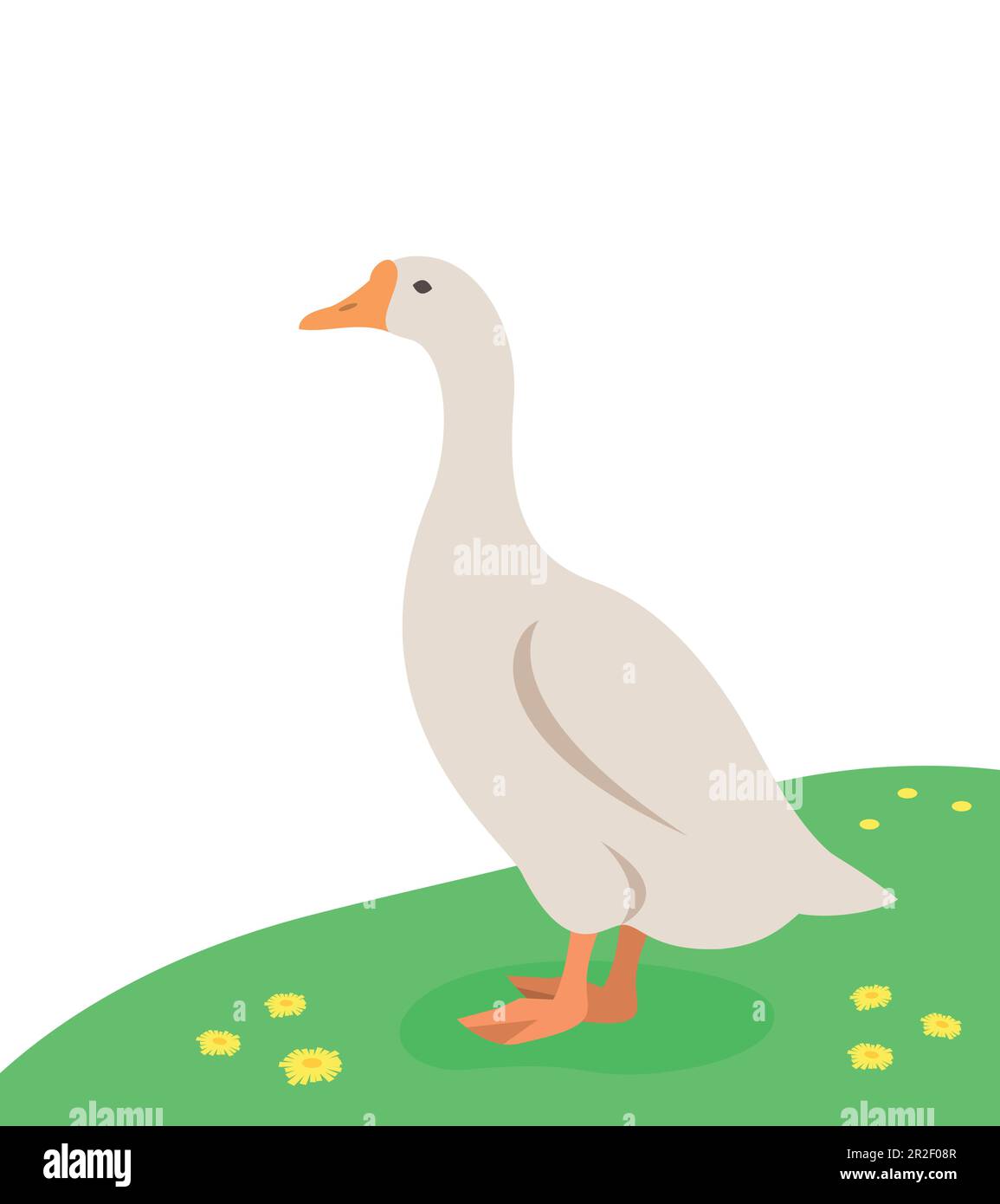 Goose standing on the green grass. Farm fowl. Domestic animals flat ...
