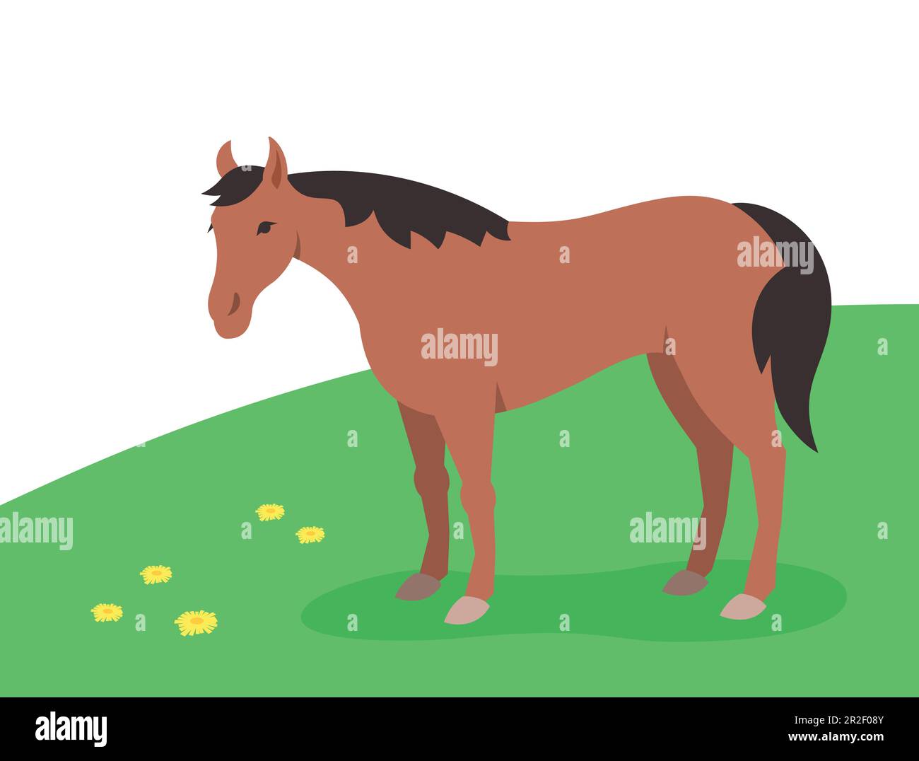 Chestnut horse standing on the green grass. Domestic farm animal ...