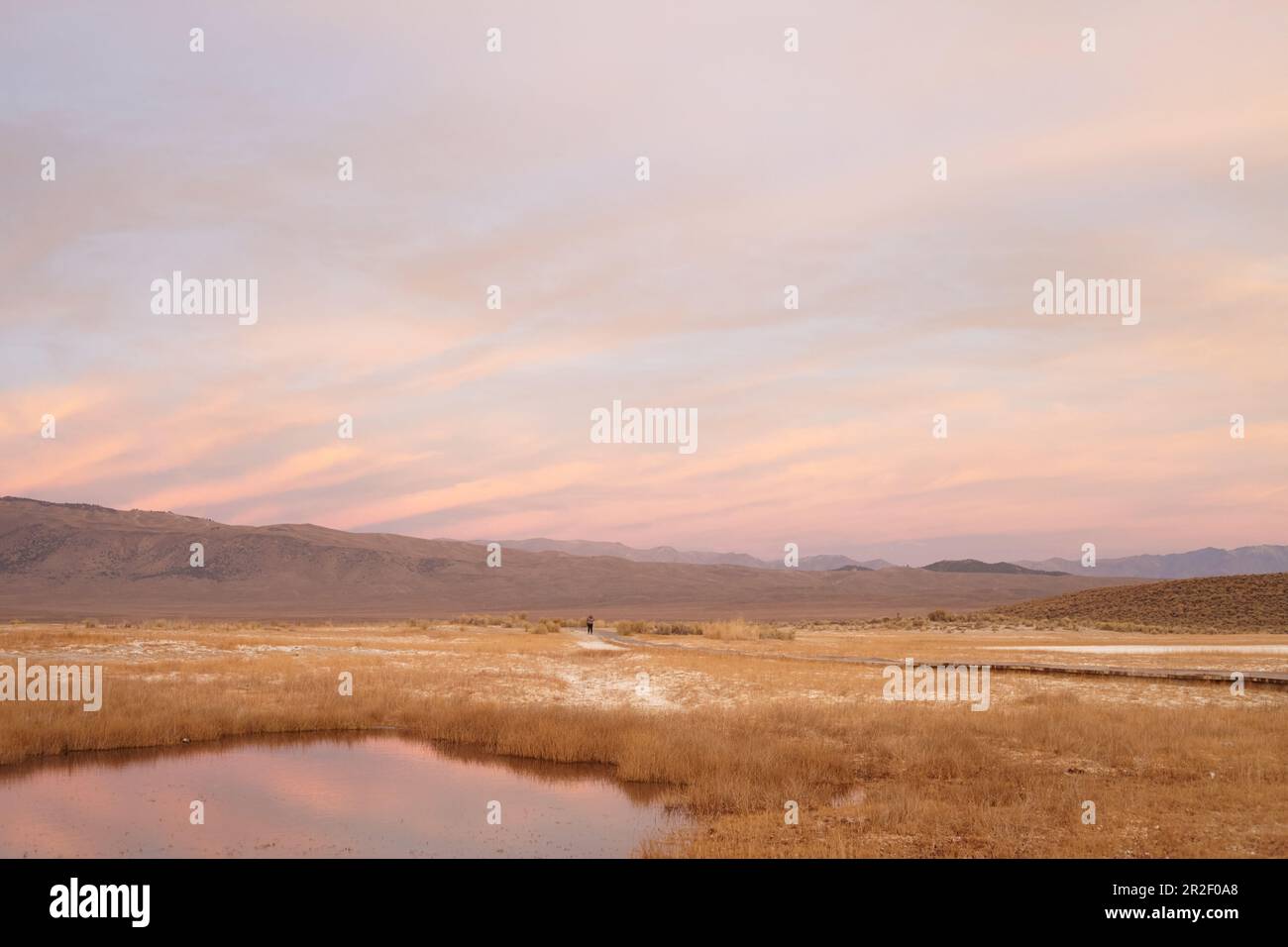 Walkers in steppe landscape at dusk in the Eastern Sierra, California ...