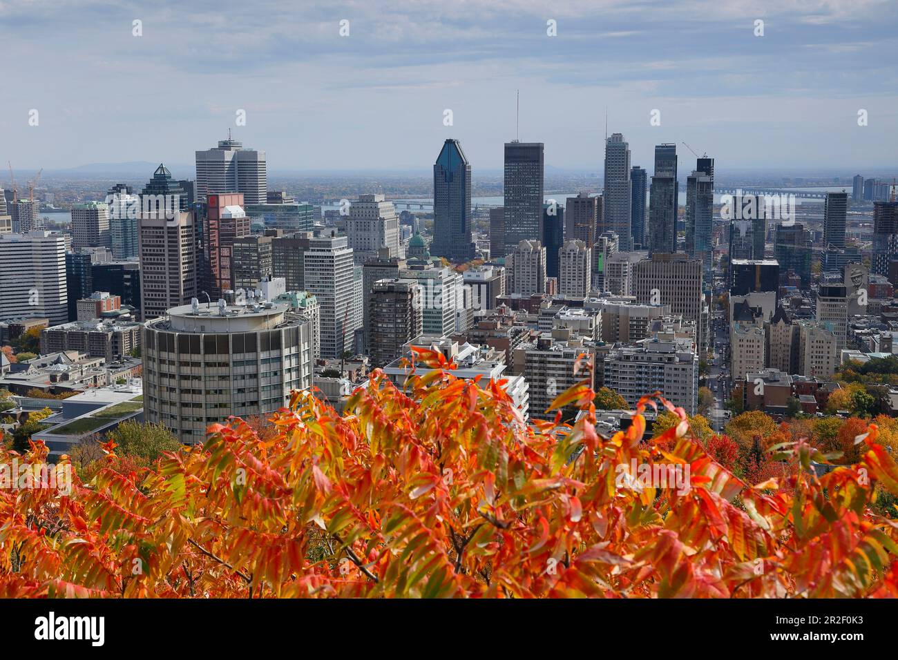 Montreal from mont royal hi-res stock photography and images - Alamy