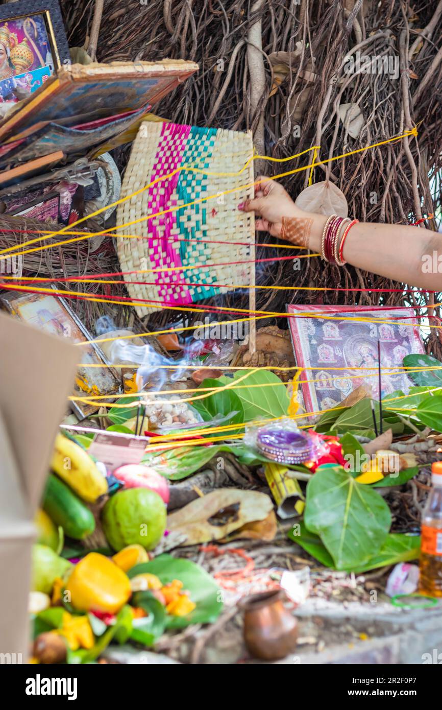 holy items kept for hindu religious worship of banyan tree on vat ...