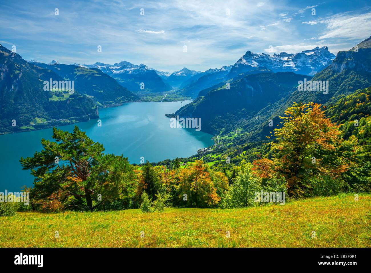 View of Lake Lucerne and the Glarus and Uri Alps, Canton of Uri ...