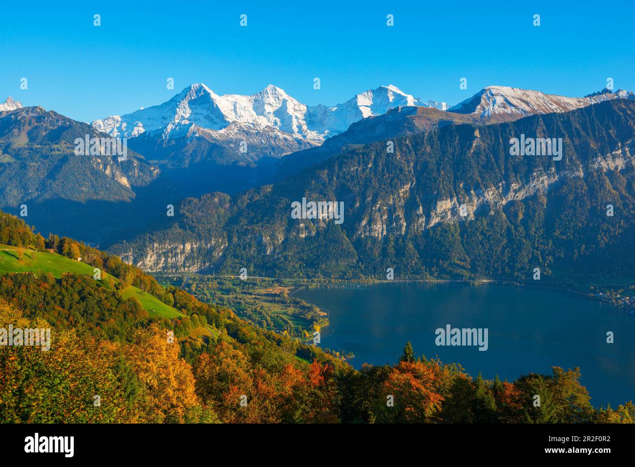 View from Beatenberg to Lake Thun and the Eiger, Mönch and Jungfrau ...
