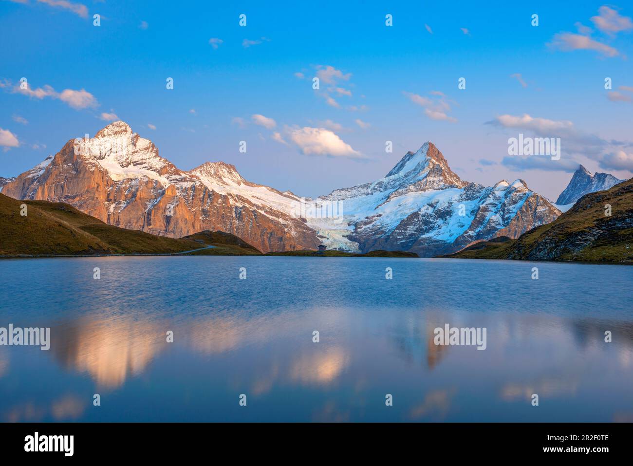 Evening at Bachalpsee with Wetterhorn, Schreckhorn and Finsteraarhorn ...