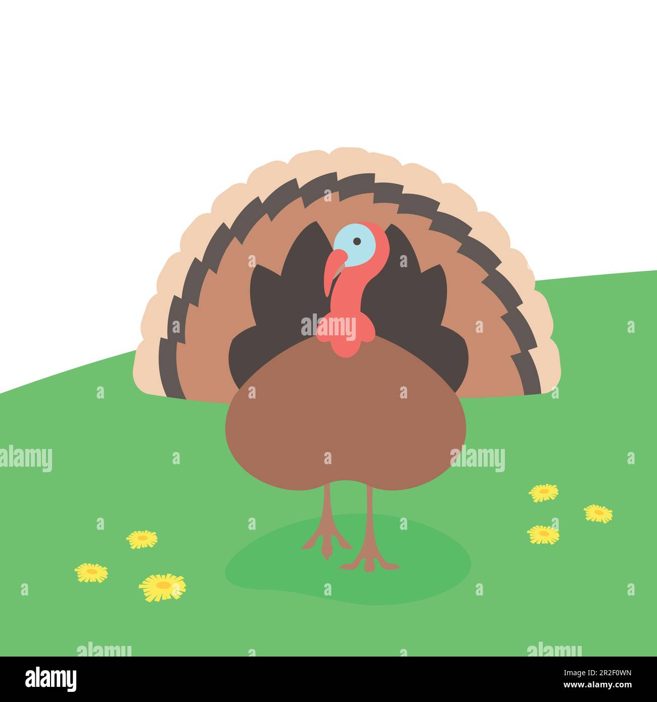 Male turkey standing on the green grass. Domestic farm fowl walking in ...