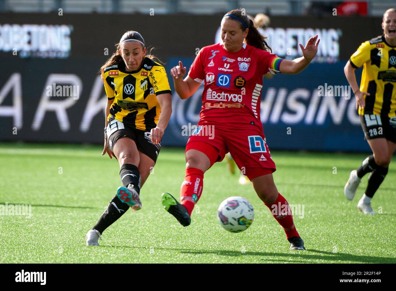 Rosa kafaji hi-res stock photography and images - Alamy