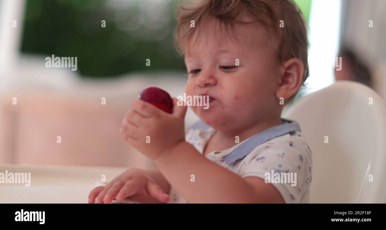 Cute baby grabbing plum fruit dessert and taking a bite Stock Photo - Alamy