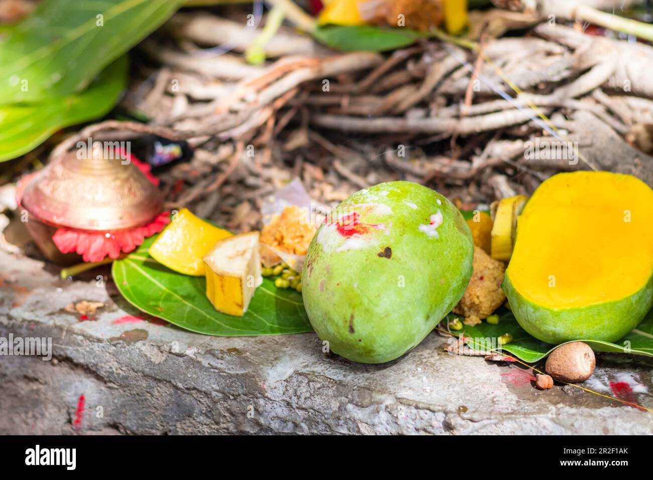 Prasadam kept for hindu religious worship of banyan tree on vat savitri ...