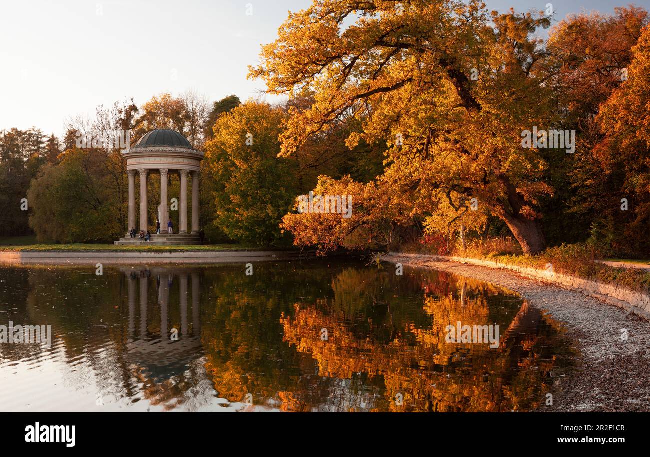 Apollo Temple with tree in the Nymphenburg Palace Park in autumn, on ...