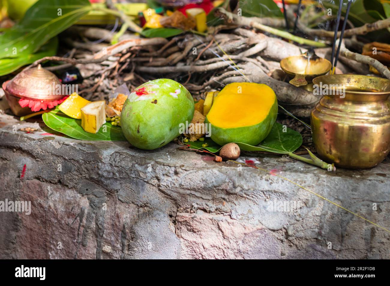 Prasadam kept for hindu religious worship of banyan tree on vat savitri ...