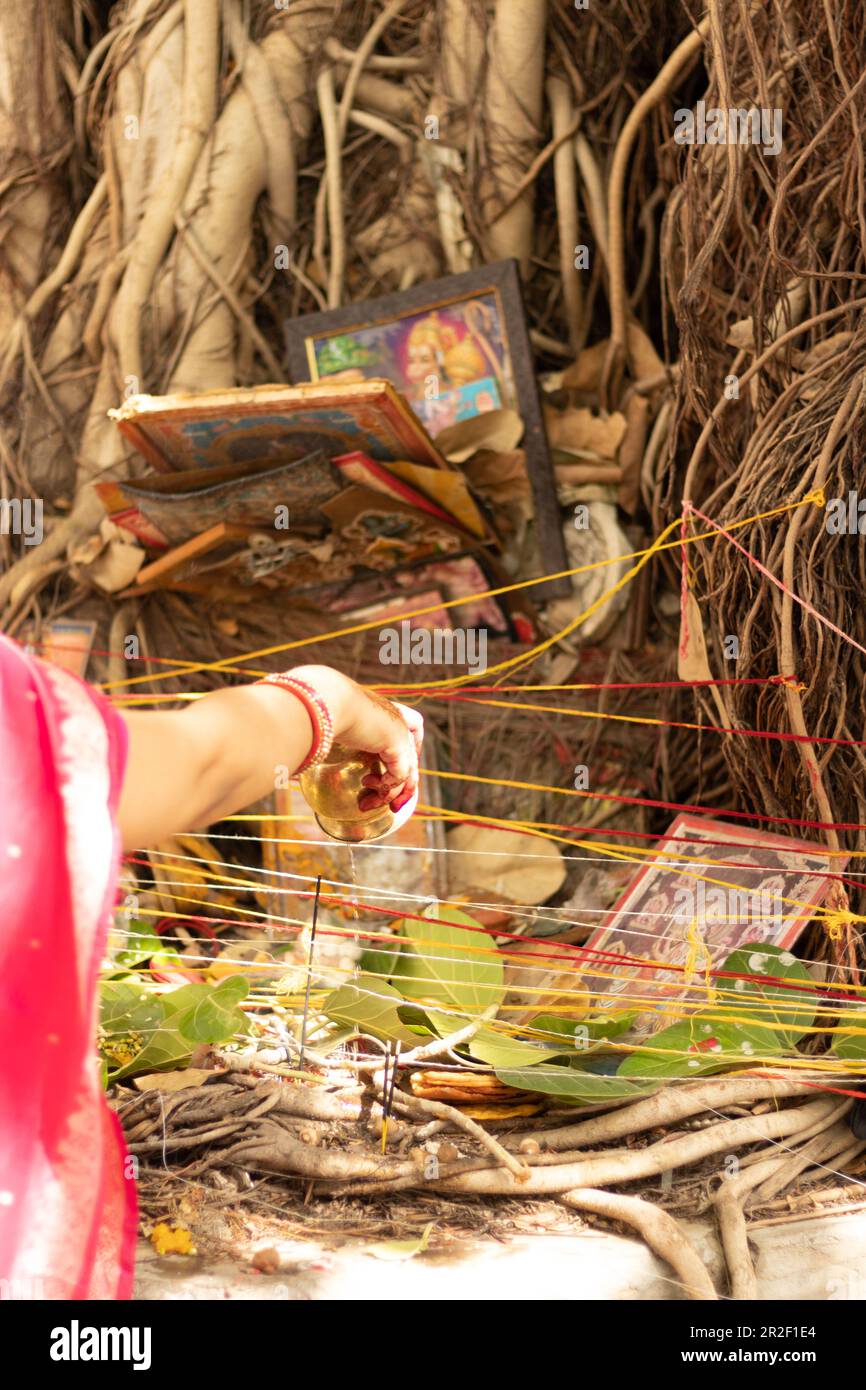 Indian women tree worship sacred hi-res stock photography and images ...
