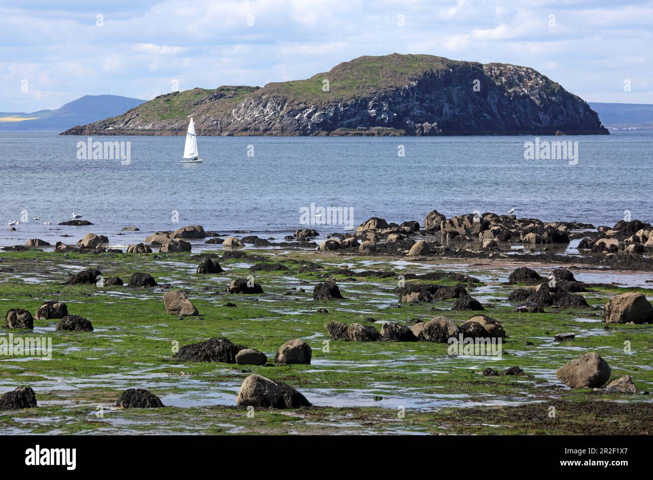 Berwick shores hi-res stock photography and images - Alamy
