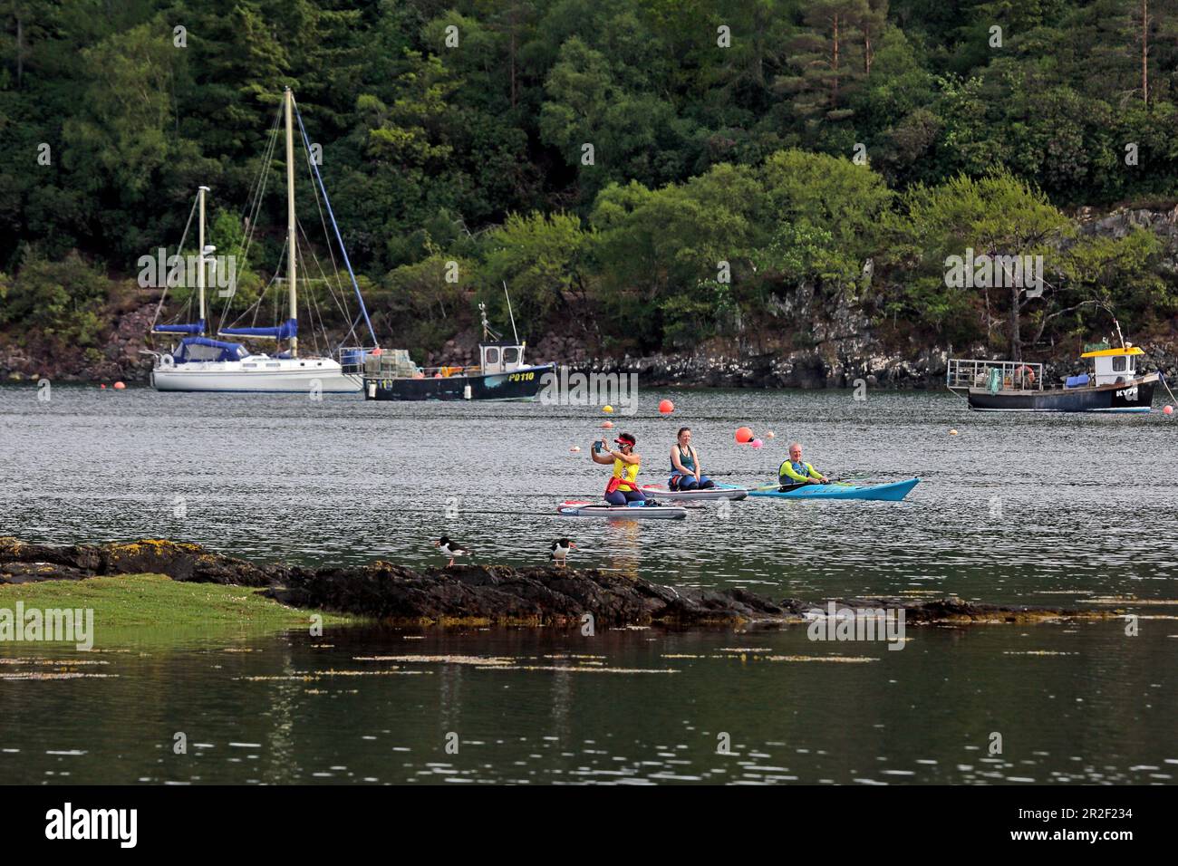 Stand up paddle boarding and kayaking in Plockton, Loch Carron ...