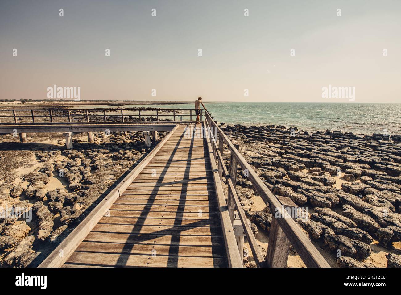 Man at the Hamelin Pool Marine Nature Reserve in Sharkbay in Western ...