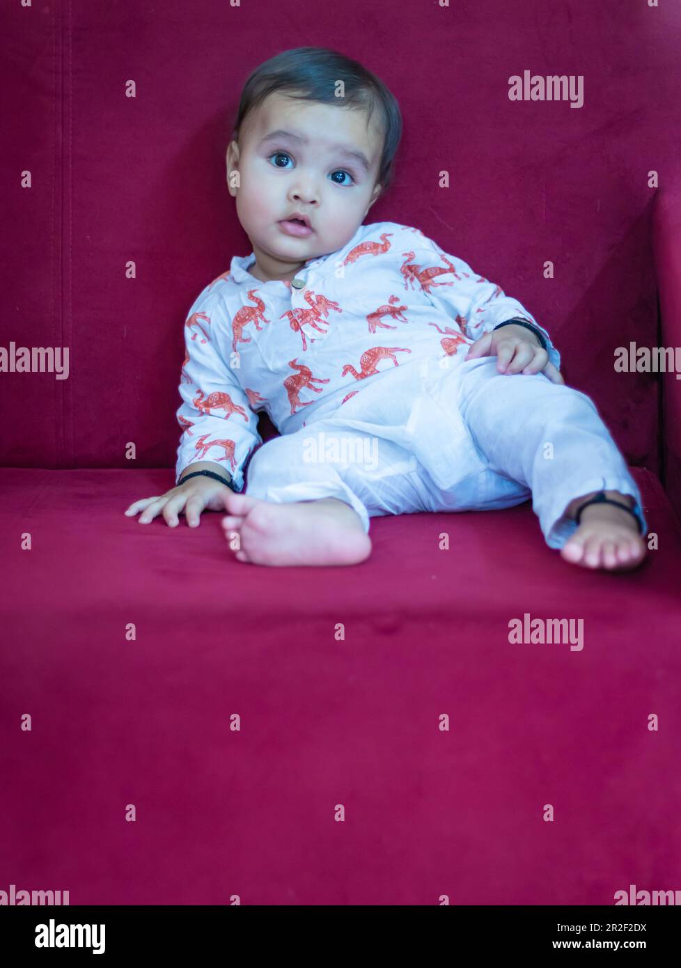 cute infant isolated sitting at red sofa from different angle Stock ...