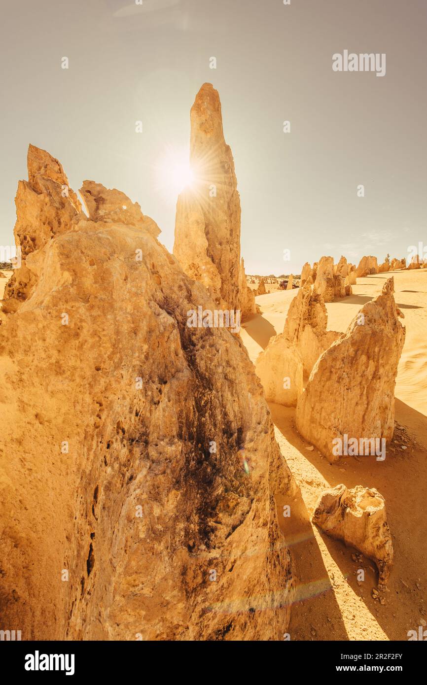 Sunrise at the Pinnacles in the Nambung National Park in Western ...