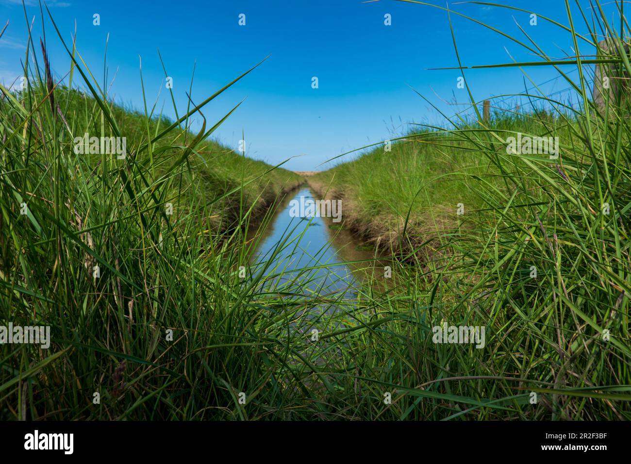Salthouse Marshes, Norfolk Stock Photo - Alamy