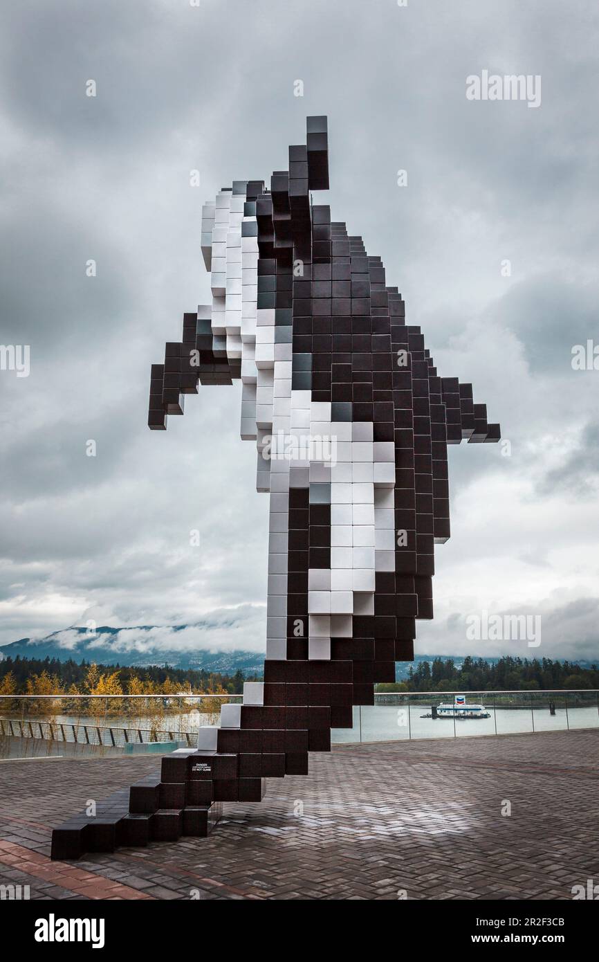 Digital Orca, Vancouver, Canada Stock Photo - Alamy