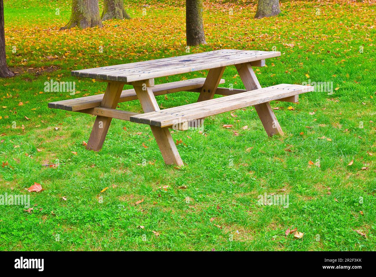 Wooden picnic table in a public park with dry leaves on the ground ...