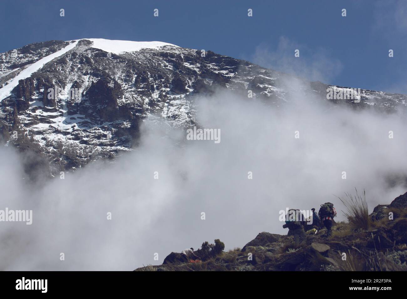 Ascent of Kilimanjaro on the Machame route; fifth stage between Barafu ...