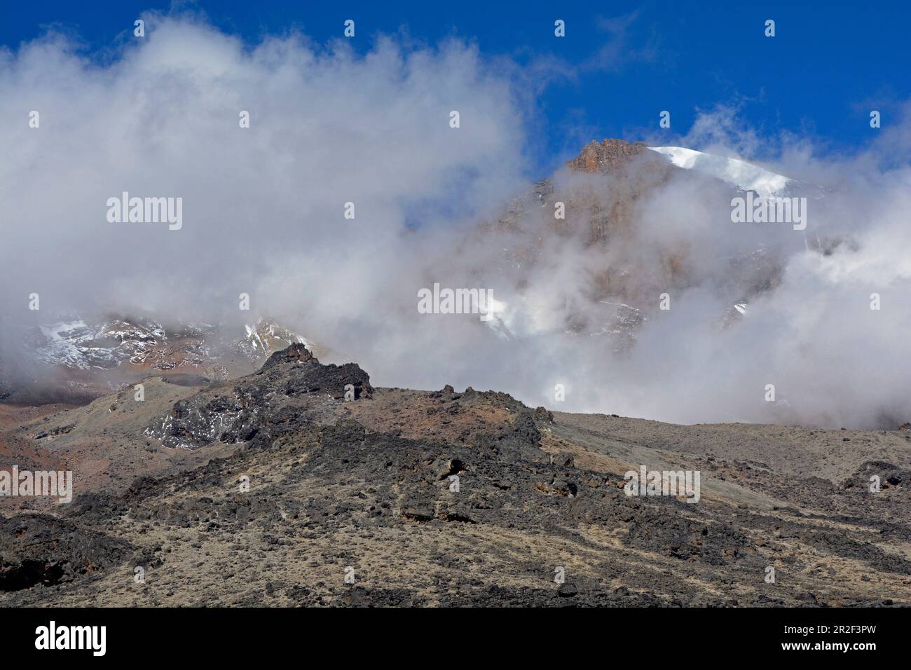 Kilimanjaro, East Africa, view of the summit, third stage, between ...