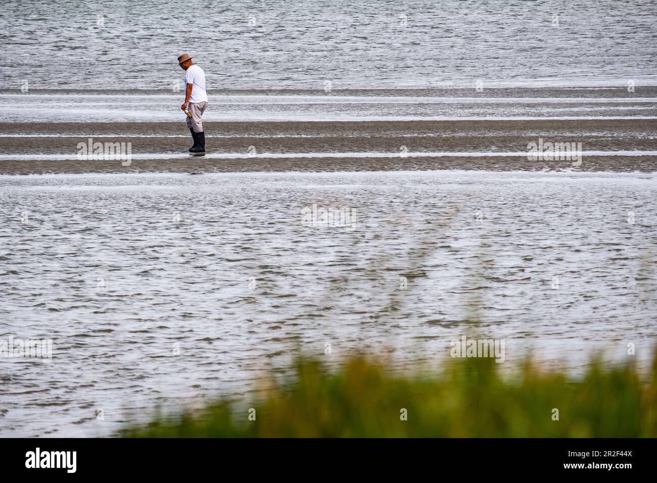 Crab collector in the Leisure Island Lagoon, Knysna, Garden Route ...