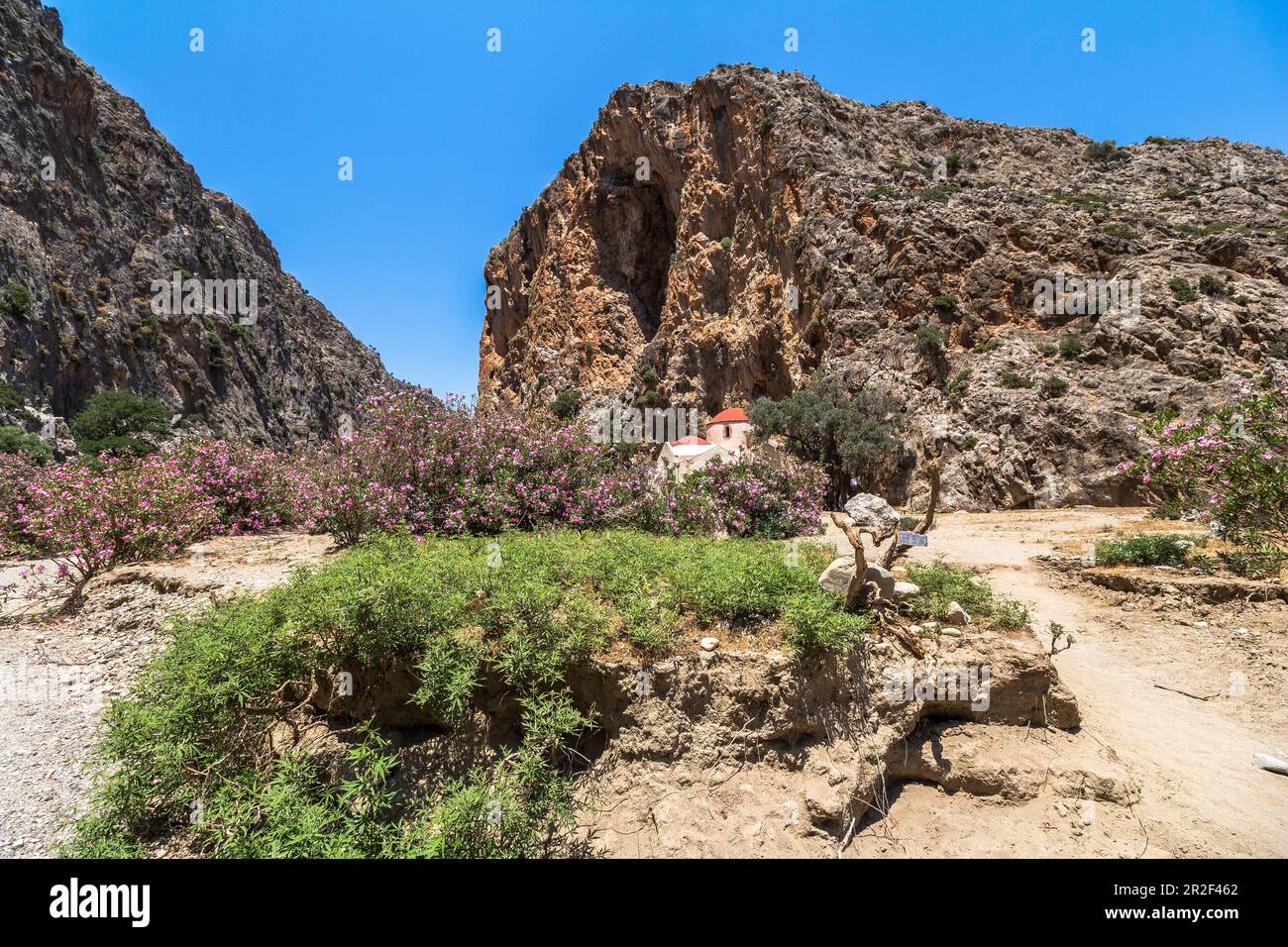 Flowering shrubs and chapel in the Agiofaraggo Gorge near Mátala, south ...