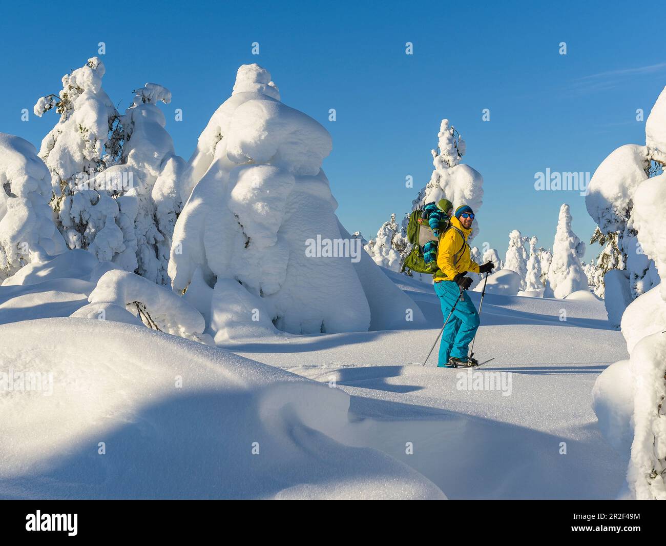 Luosto national park hi-res stock photography and images - Alamy