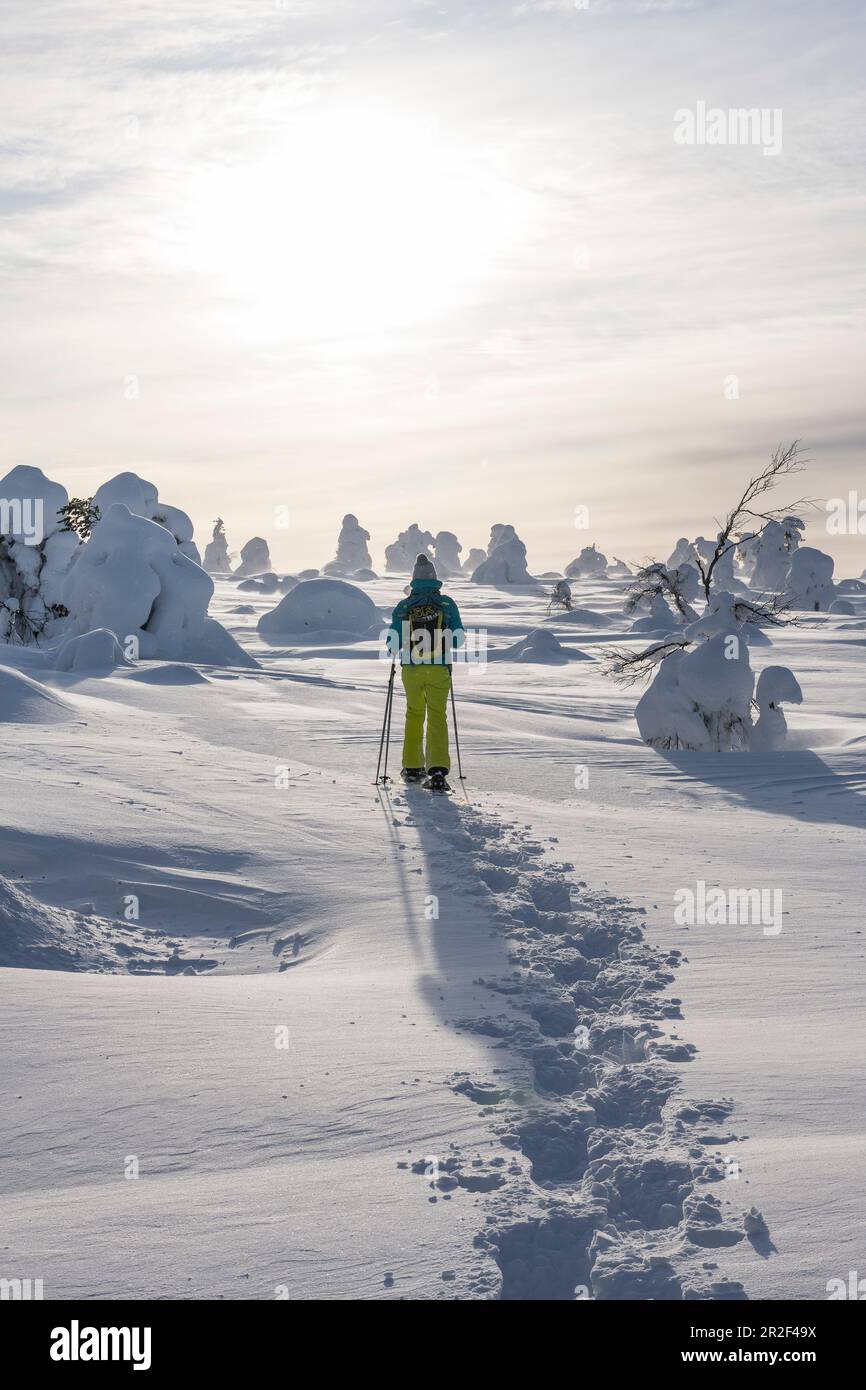 Pyha luosto national park hi-res stock photography and images - Alamy
