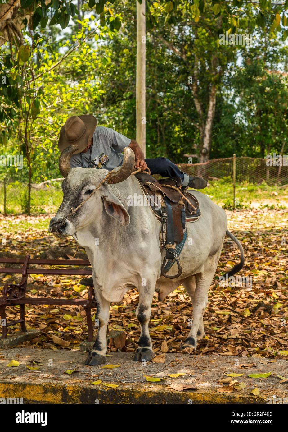Farmer rides hi-res stock photography and images - Alamy