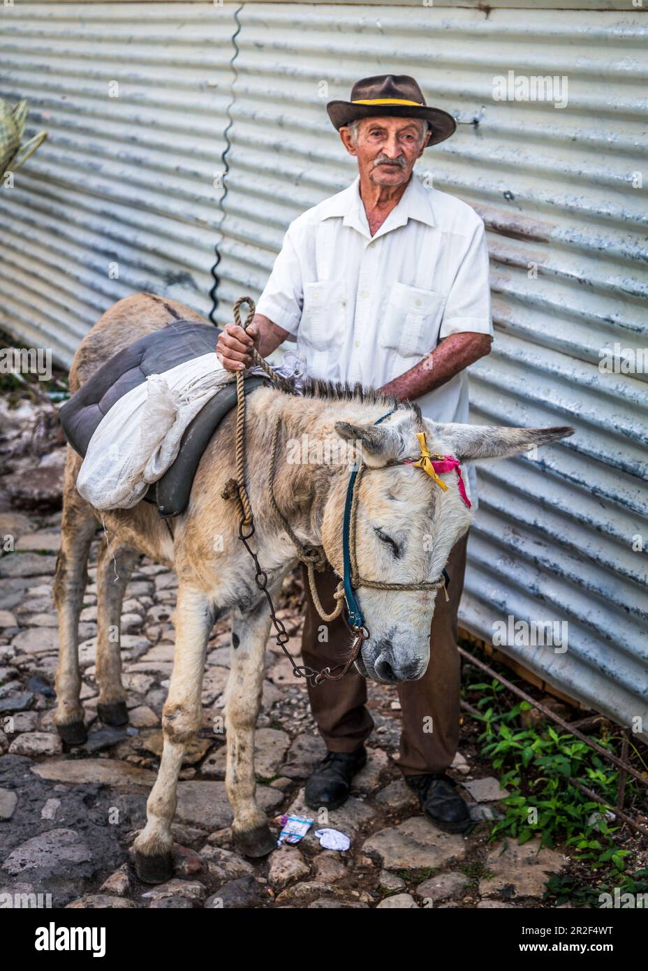 Cuban with his donkey, Trinidad, Cuba Stock Photo - Alamy